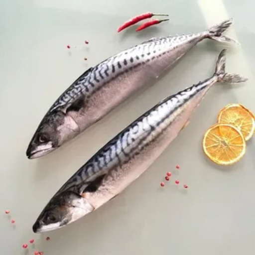 Seer Fish / Vanjaram / Nei Meen – Saravana Fish Stall